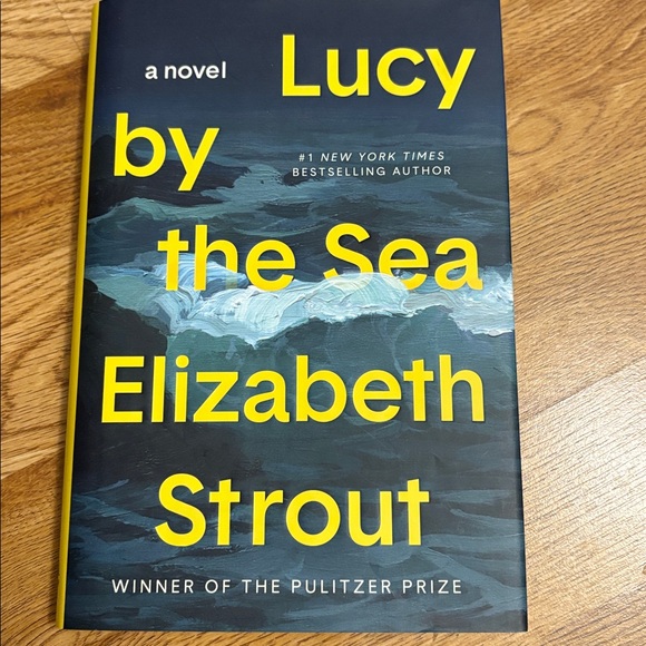 Other | Lucy By The Sea By Elizabeth Strout Hardback Book Read Once ...